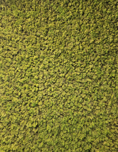 Über uns - TECDOOR AG